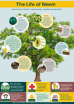 Neem – Poster | Neem Research