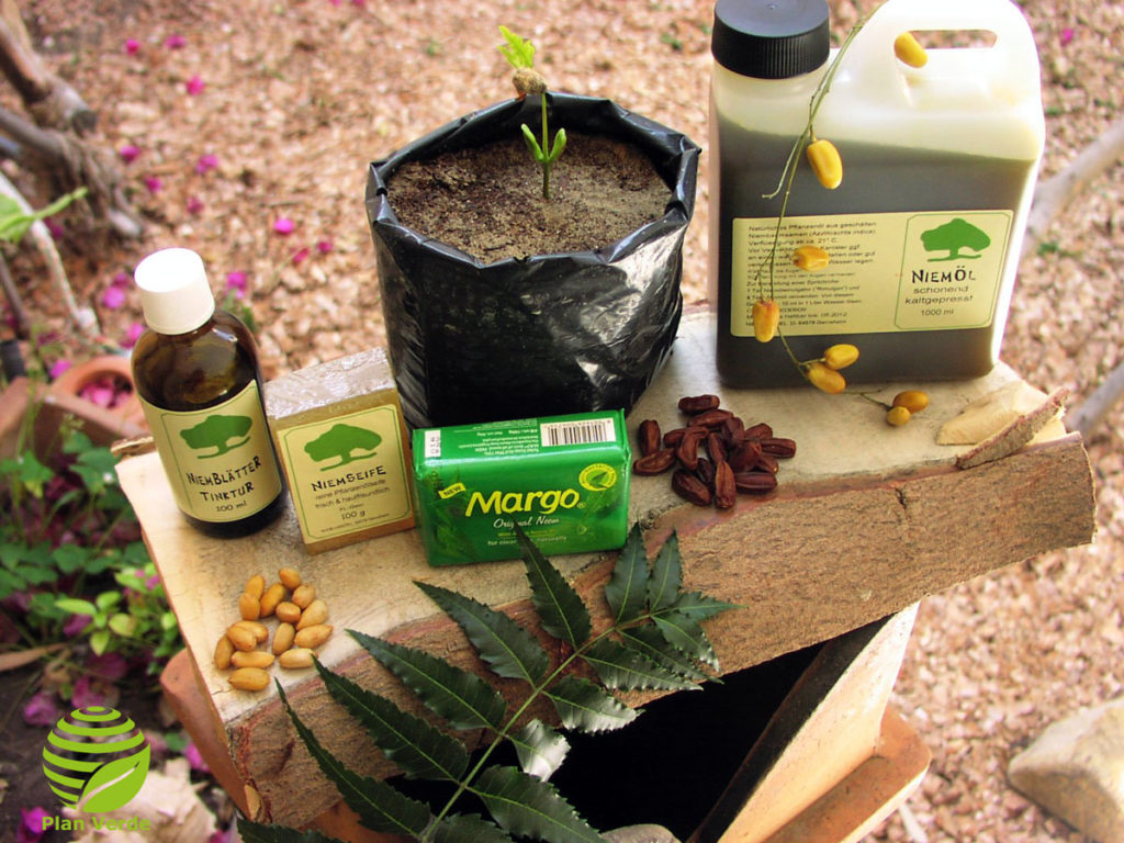 Neem Research